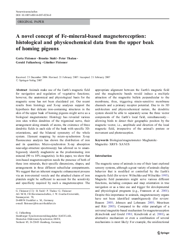 (PDF) A novel concept of Fe-mineral-based magnetoreception ...