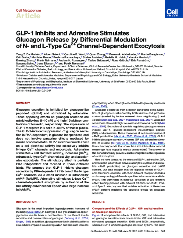 Pdf Glp 1 Inhibits And Adrenaline Stimulates Glucagon Release By