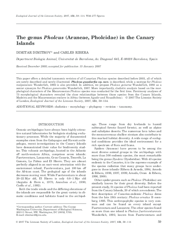 (PDF) The genus Pholcus (Araneae, Pholcidae) in the Canary Islands