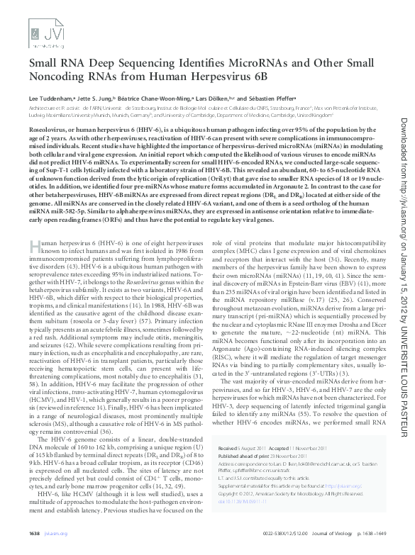 (PDF) Small RNA deep sequencing identifies microRNAs and other small noncoding RNAs from human ...