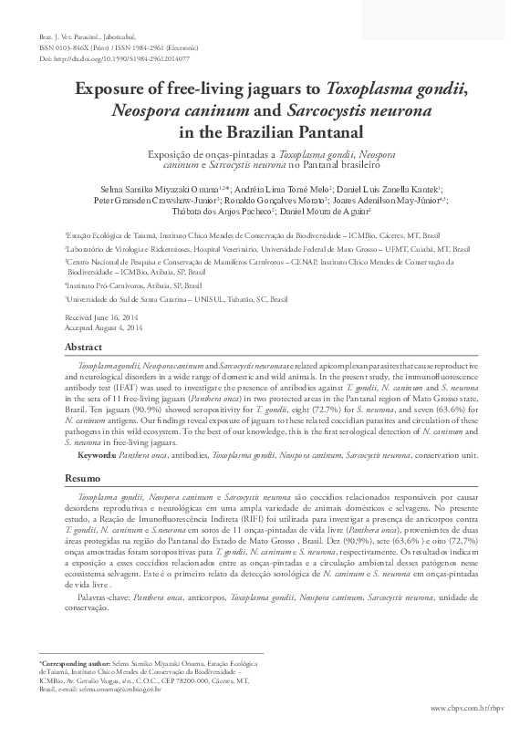 Pdf Exposure Of Free Living Jaguars To Toxoplasma Gondii Neospora Caninum And Sarcocystis