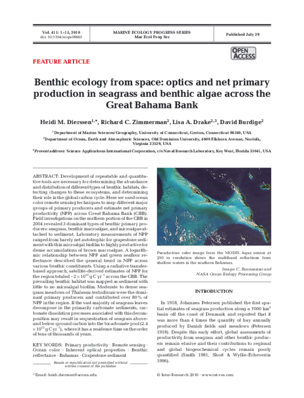 (PDF) Benthic ecology from space: optics and net primary production in seagrass and benthic ...