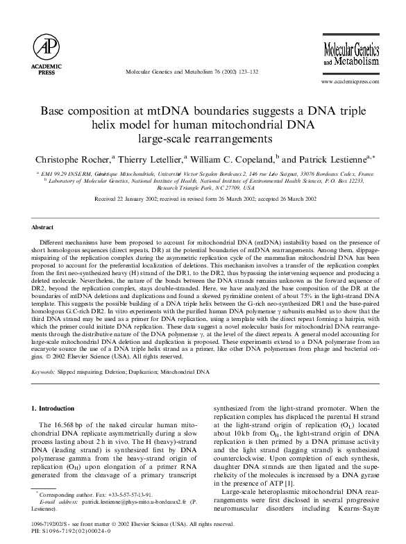 (PDF) Base composition at mtDNA boundaries suggests a DNA triple helix ...