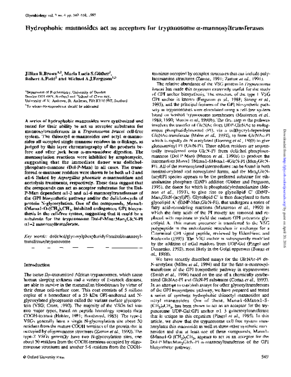 (PDF) Hydrophobic mannosides act as acceptors for trypanosome a ...