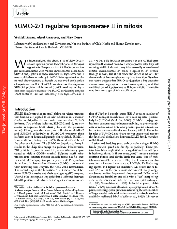 (PDF) SUMO-2/3 regulates topoisomerase II in mitosis | Mary Dasso ...