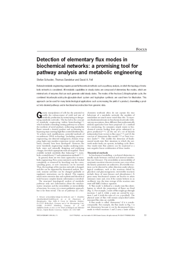 (PDF) Detection of elementary flux modes in biochemical networks: a promising tool for pathway ...