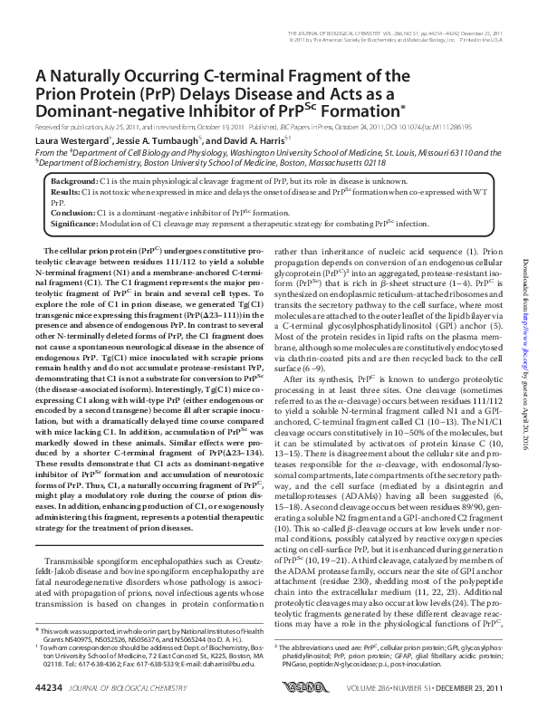 (PDF) β-Cleavage of the prion protein in the human eye: Implications ...