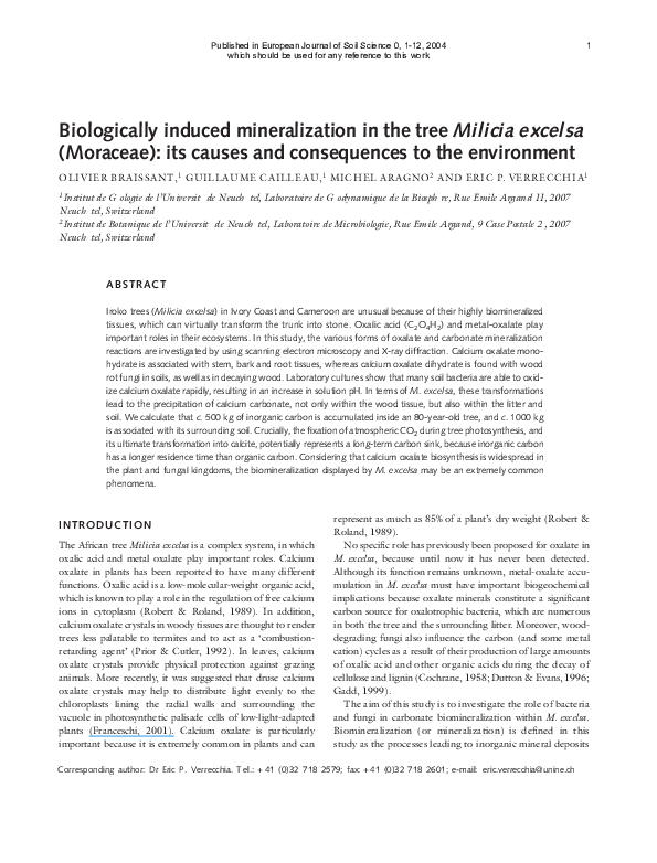 (PDF) Biologically induced mineralization in the tree Milicia excelsa ...