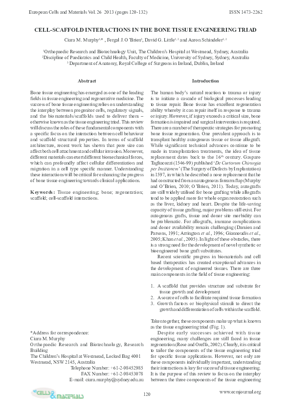 (PDF) Cell-scaffold interactions in the bone tissue engineering triad