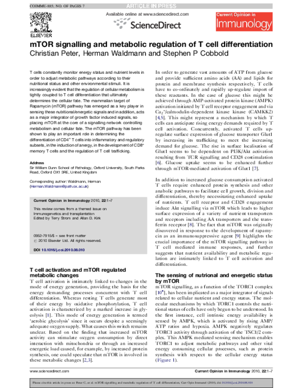 (PDF) mTOR signalling and metabolic regulation of T cell differentiation