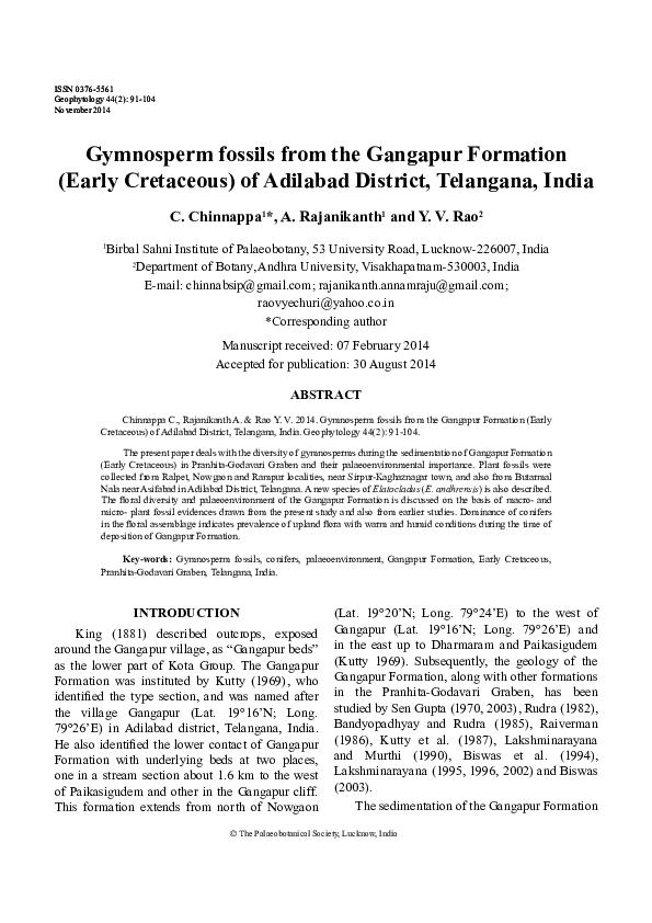 (PDF) GYMNOSPERM FOSSILS FROM THE GANGAPUR FORMATION (EARLY CRETACEOUS ...