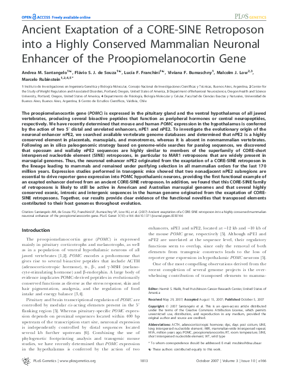 (PDF) Ancient Exaptation of a CORE-SINE Retroposon into a Highly ...