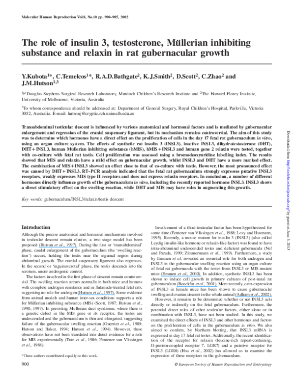 (PDF) The role of insulin 3, testosterone, Mullerian inhibiting ...