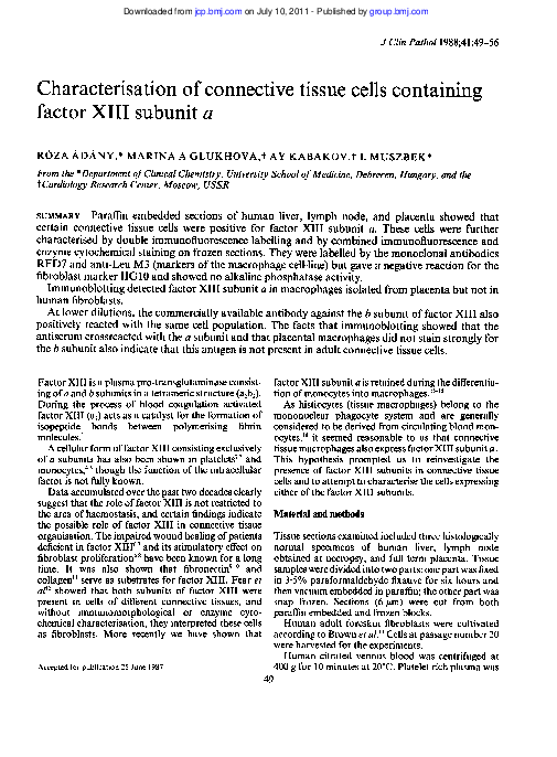 (PDF) Characterisation of connective tissue cells containing factor XIII subunit a