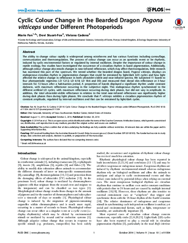 (PDF) Cyclic Colour Change in the Bearded Dragon Pogona vitticeps under ...
