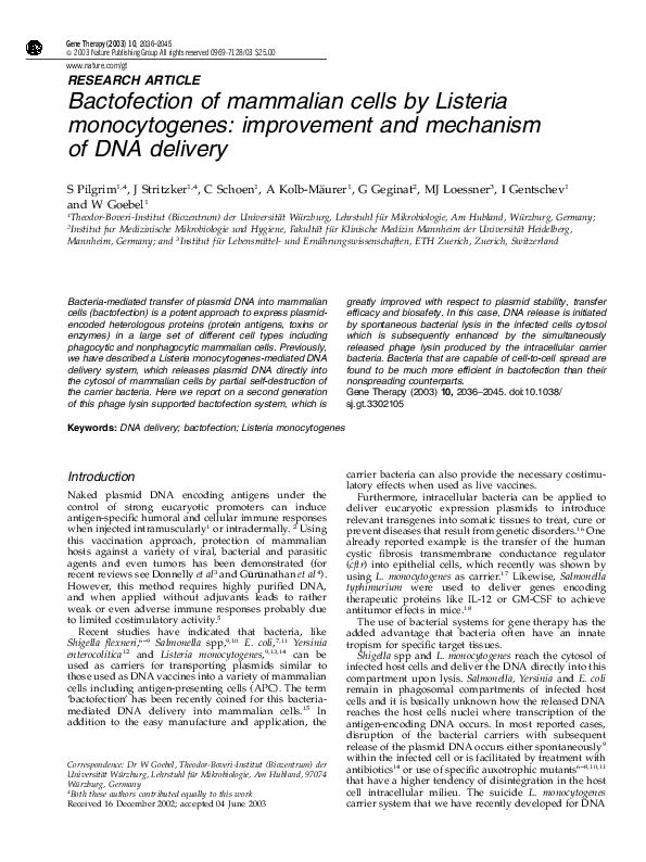 (PDF) Bactofection of mammalian cells by Listeria monocytogenes ...