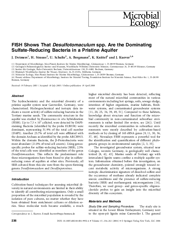 (PDF) FISH Shows That Desulfotomaculum spp. Are the Dominating Sulfate ...