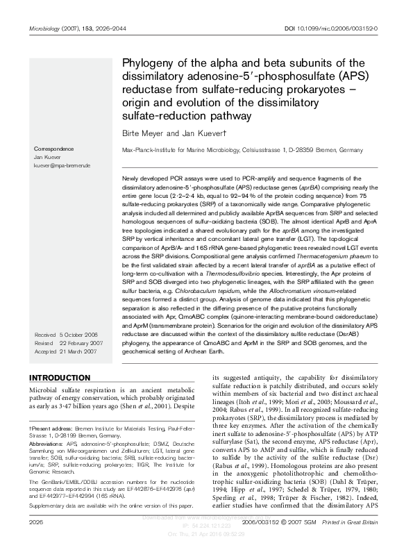 (PDF) Phylogeny of the alpha and beta subunits of the dissimilatory ...