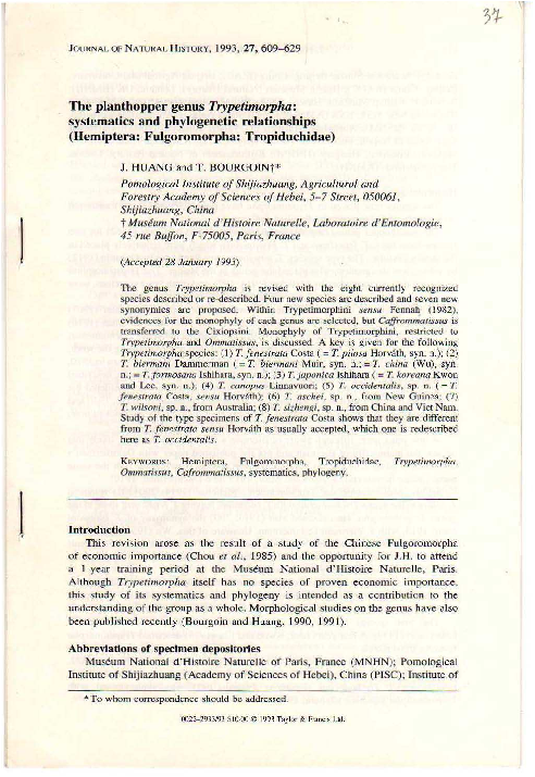 (PDF) The planthopper genus Trypetimorpha : systematics and ...