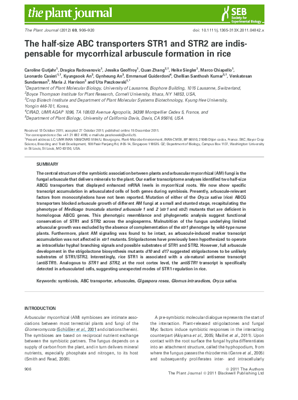 (PDF) The half-size ABC transporters STR1 and STR2 are indispensable ...