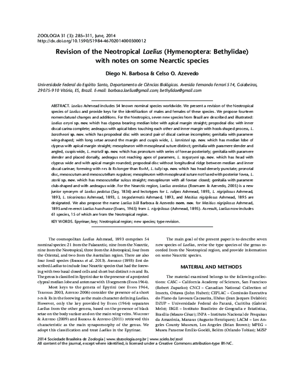 (PDF) Revision of the Neotropical Laelius (Hymenoptera: Bethylidae ...