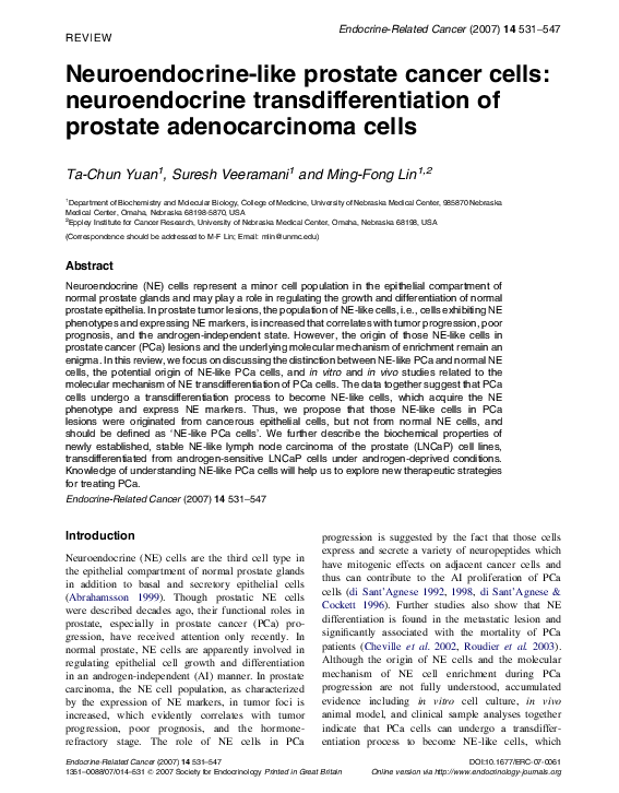(PDF) Neuroendocrine-like prostate cancer cells: neuroendocrine ...
