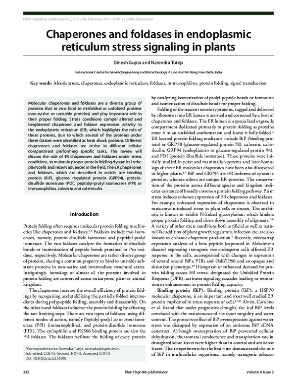 (PDF) Chaperones and foldases in endoplasmic reticulum stress signaling ...