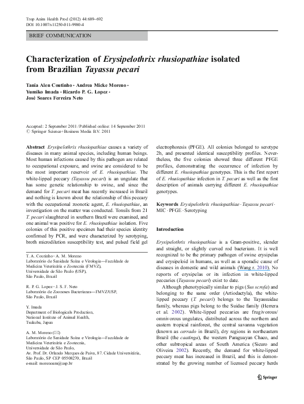 (PDF) Characterization of Erysipelothrix rhusiopathiae isolates from ...