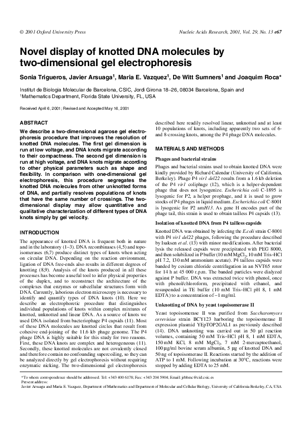 (PDF) Novel display of knotted DNA molecules by two-dimensional gel ...
