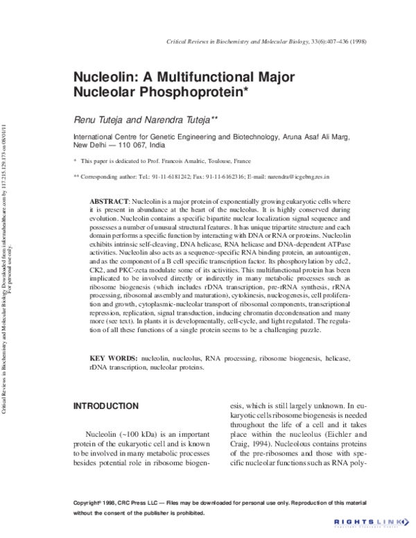 (PDF) Nucleolin: A Multifunctional Major Nucleolar Phosphoprotein