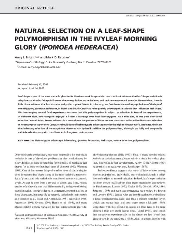 (PDF) NATURAL SELECTION ON A LEAF-SHAPE POLYMORPHISM IN THE IVYLEAF ...