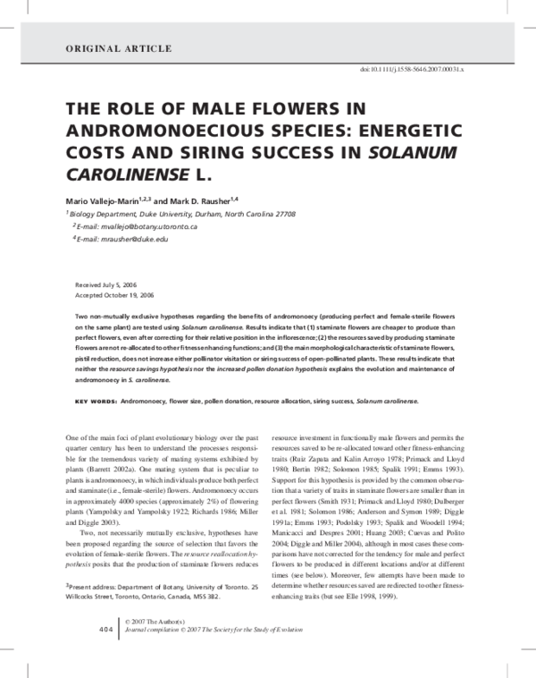 (PDF) THE ROLE OF MALE FLOWERS IN ANDROMONOECIOUS SPECIES: ENERGETIC ...