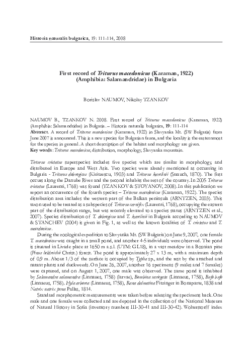 (PDF) First record of Triturus macedonicus (Karaman, 1922)(Amphibia ...