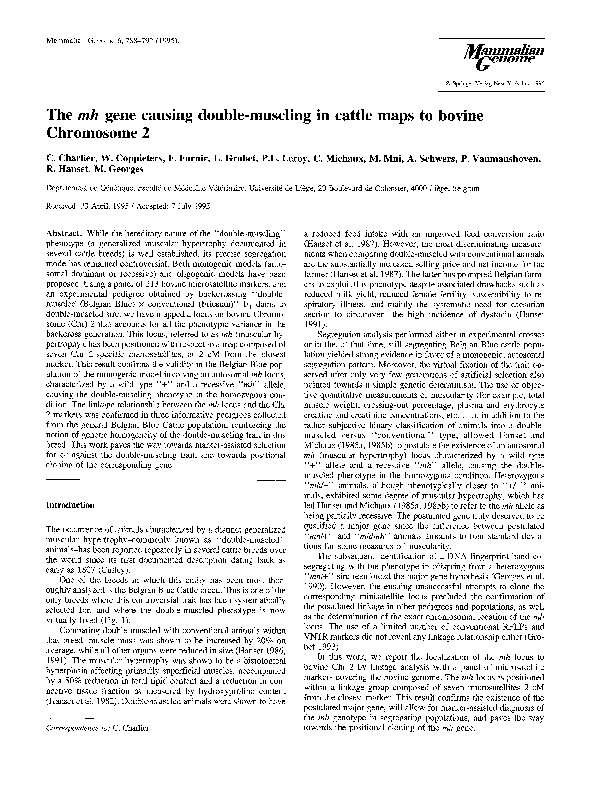 (PDF) The mh gene causing double-muscling in cattle maps to bovine ...