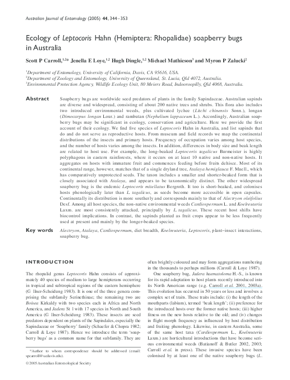 (PDF) Ecology of Leptocoris Hahn (Hemiptera: Rhopalidae) soapberry bugs ...