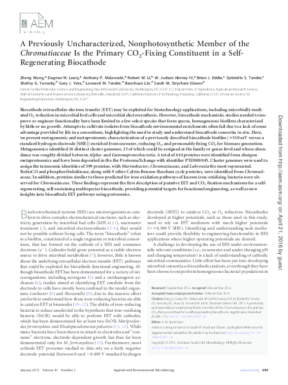 (PDF) A Previously Uncharacterized, Nonphotosynthetic Member of the ...