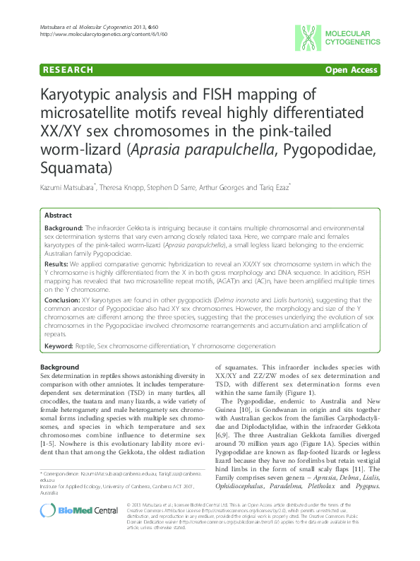 (PDF) Karyotypic analysis and FISH mapping of microsatellite motifs ...