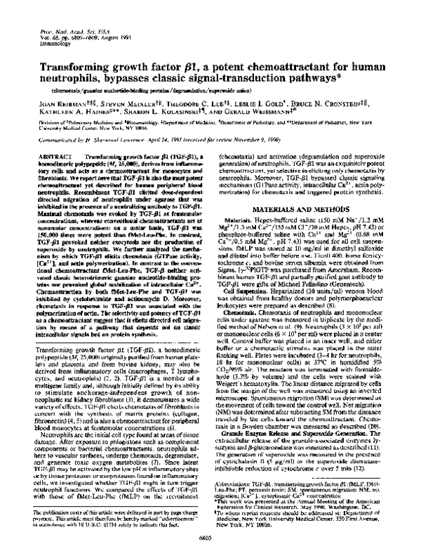 (PDF) Transforming growth factor beta 1, a potent chemoattractant for ...