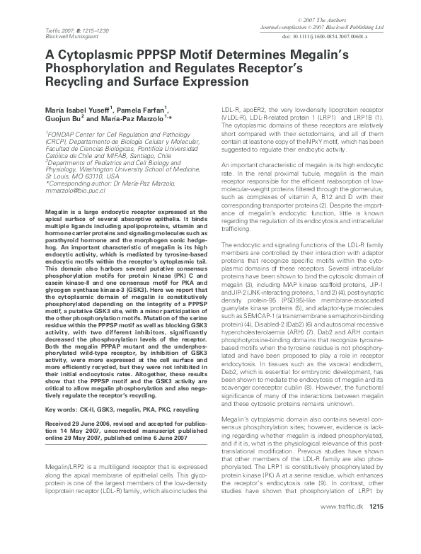 (PDF) A Cytoplasmic PPPSP Motif Determines Megalin's Phosphorylation ...