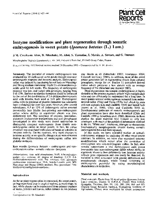 (PDF) Isozyme modifications and plant regeneration through somatic embryogenesis in sweet potato ...