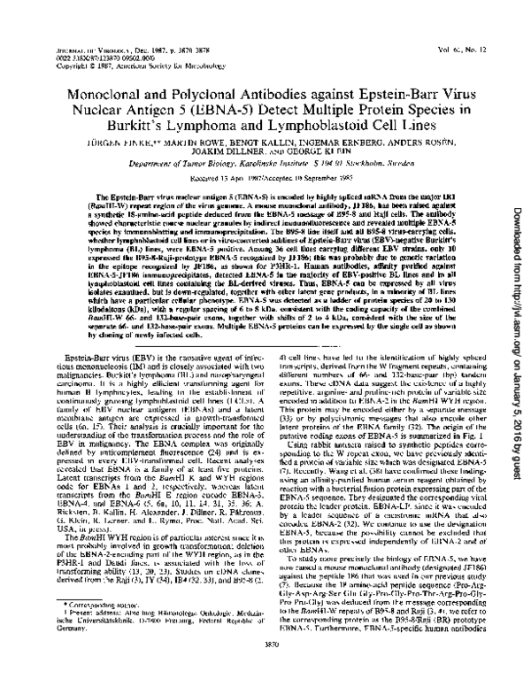(PDF) Monoclonal and polyclonal antibodies against fish vitellogenin ...