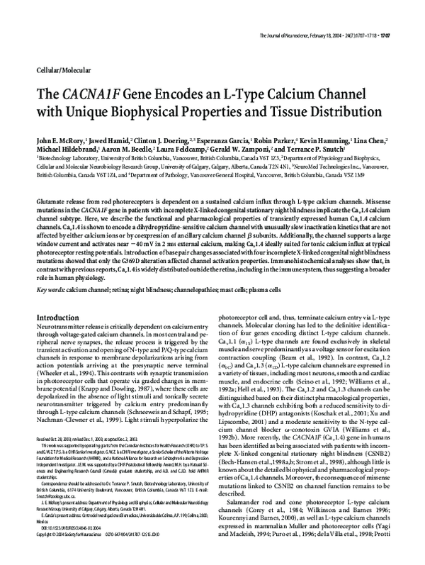 (PDF) The CACNA1F Gene Encodes an L-Type Calcium Channel with Unique ...