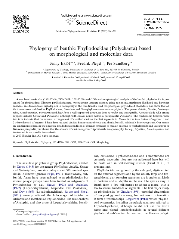 (PDF) Phylogeny of benthic Phyllodocidae (Polychaeta) based on ...