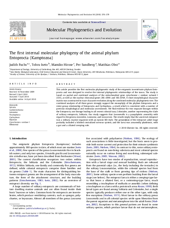 (PDF) The first internal molecular phylogeny of the animal phylum ...
