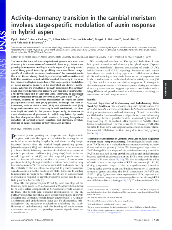 (PDF) Activity-dormancy transition in the cambial meristem involves ...