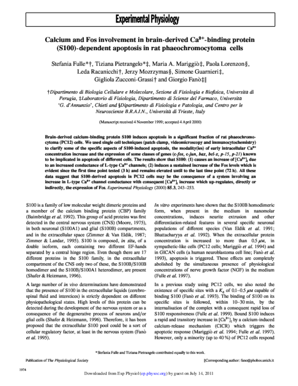 (PDF) Calcium and Fos Involvement in Brain-Derived Ca2+-Binding Protein ...