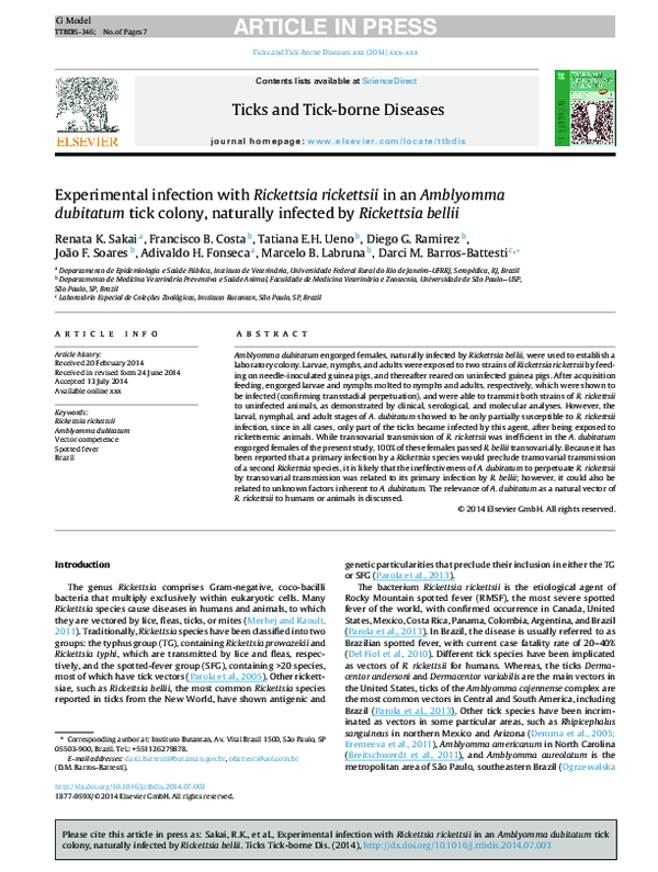 (PDF) Experimental infection with Rickettsia rickettsii in an Amblyomma ...