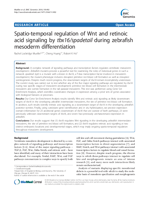 (PDF) Spatio-temporal regulation of Wnt and retinoic acid signaling by ...