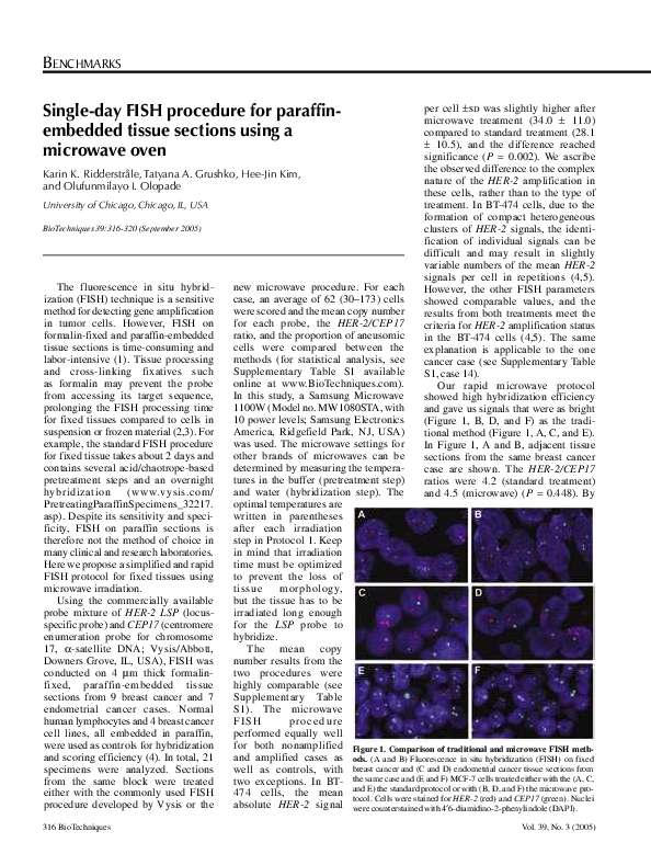 (PDF) Rapid Microwave FISH for Paraffin-Embedded Tissues