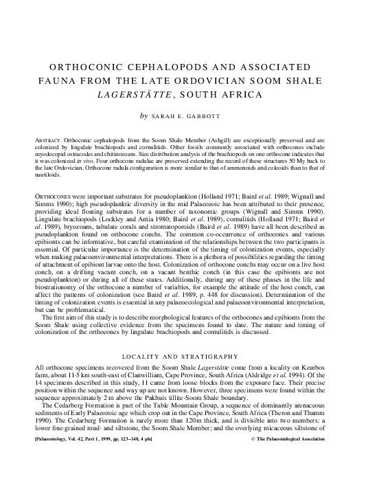 (PDF) Orthoconic cephalopods and associated fauna from the late ...